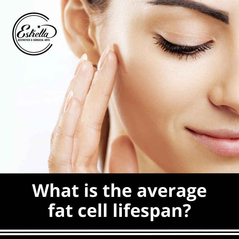 What is the average fat cell lifespan? - Estrella Aesthetics & Surgical ...